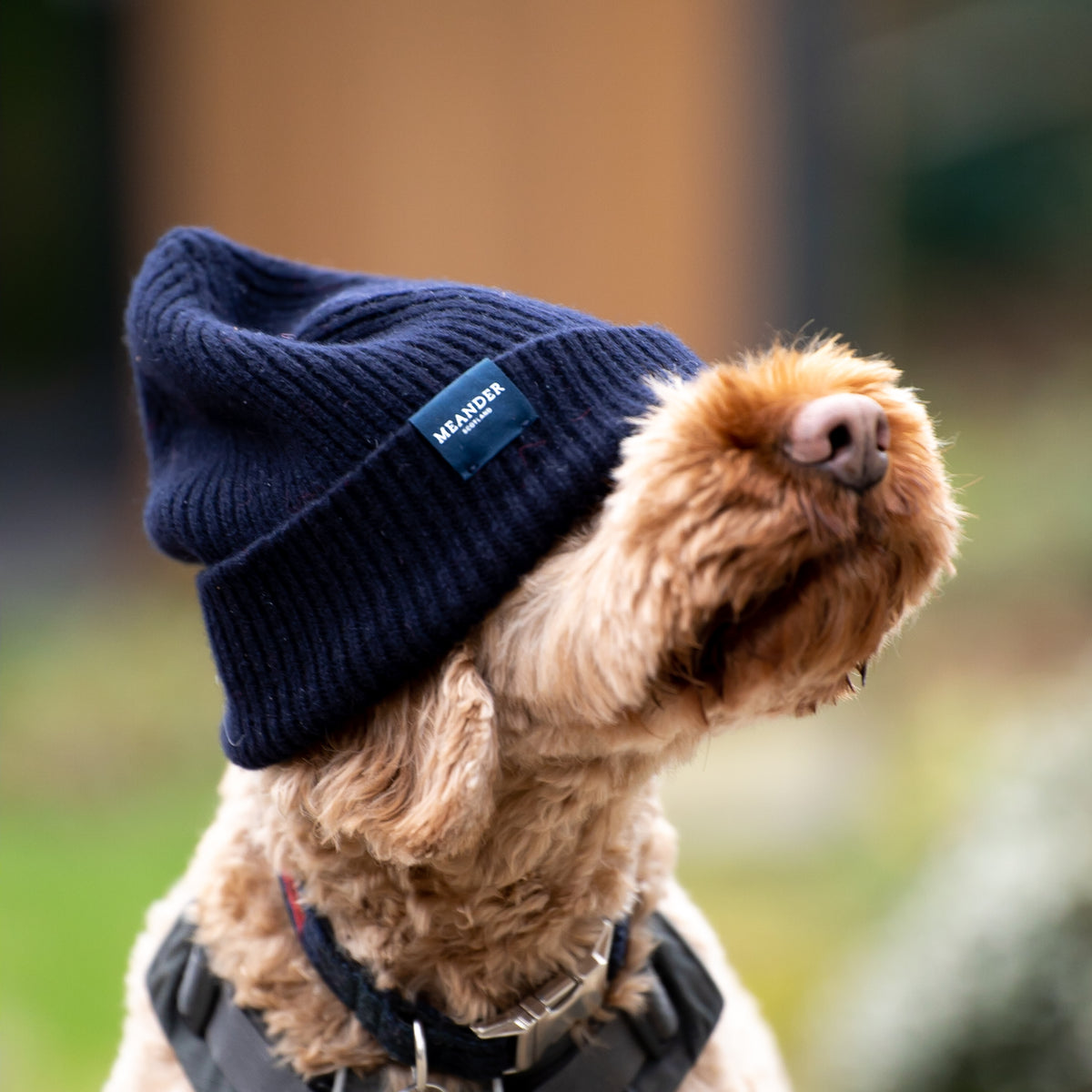 Accessories - MeanderApparel